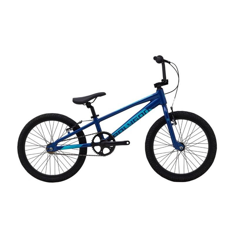 Jual Sepeda BMX Alloy 20 Polygon Rogue | Shopee Indonesia