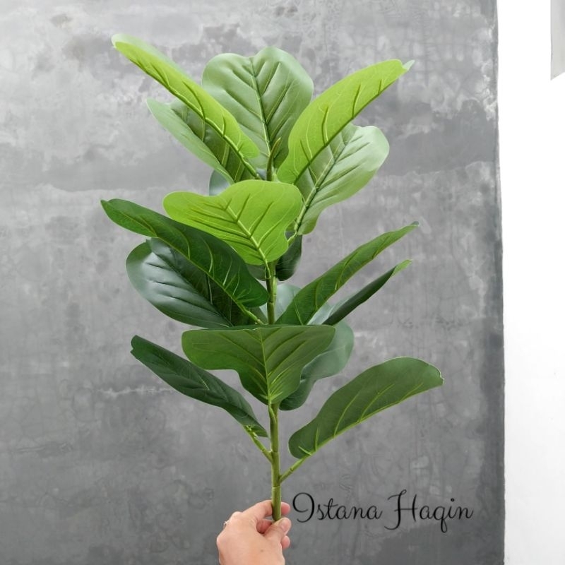 Jual Pohon Ketapang Artificial Tinggi 35cm dan 60cm | Shopee Indonesia