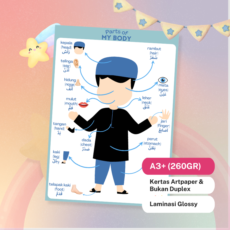 Jual POSTER LAMINASI Belajar Tubuh Laki Laki / Poster Body Part Laki ...