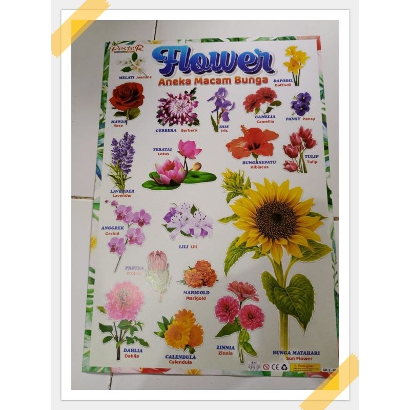 Jual Poster Aneka Macam Bunga | Shopee Indonesia