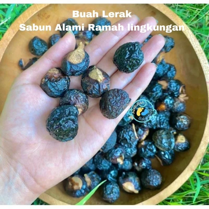 Jual Lerak Buah Lerak Dengan Biji Sabun Alami Ramah Lingkungan Cuci Clodi Menspad Batik Pakaian