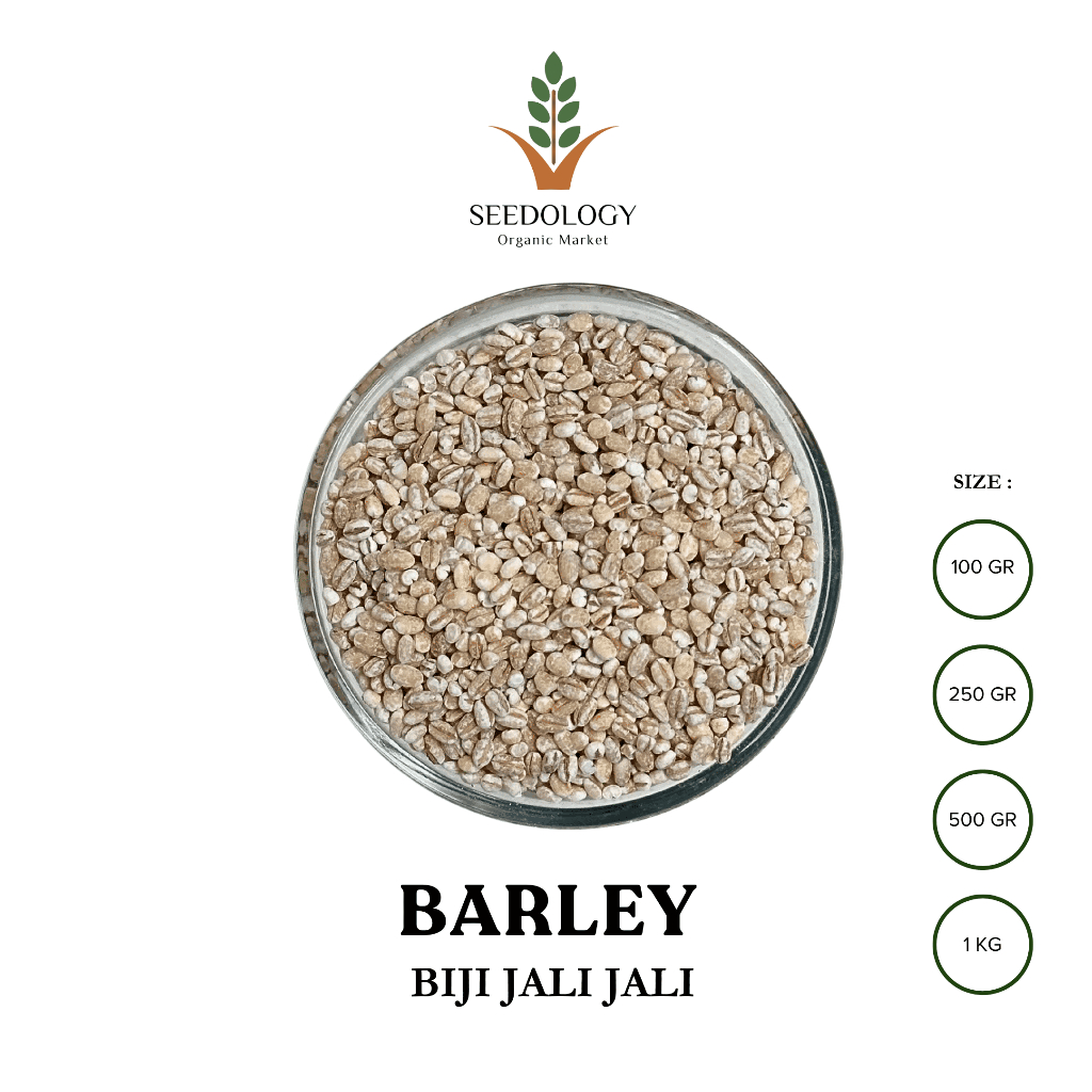 Jual Organic Barley 1kg - Biji Jali-Jali / Natural Pearl Barley ...