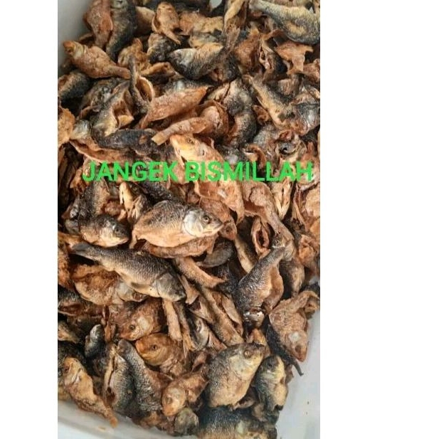 Jual Ikan Rayo Goreng Asli Batusangkar | Shopee Indonesia