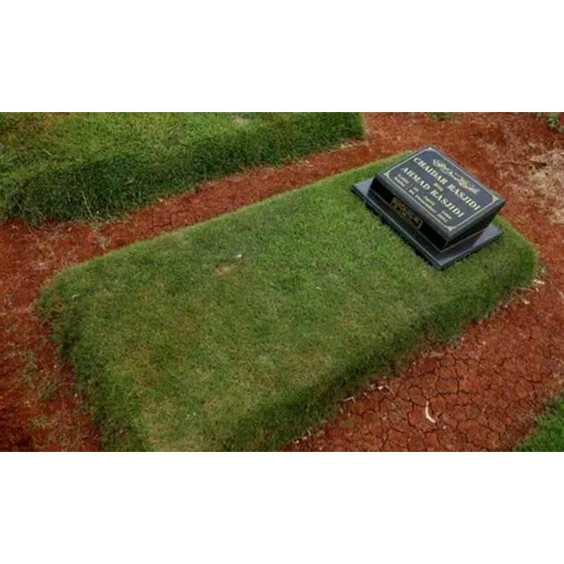 Jual jasa tanam rumput makam | Shopee Indonesia