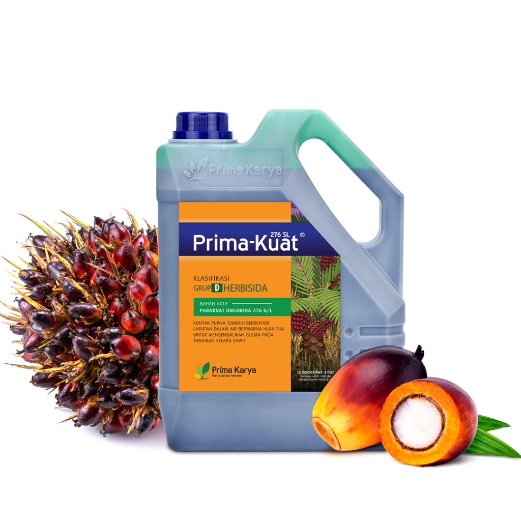 Jual Prima Kuat 276SL Racun Bakar Racun Rumput Parakuat 5L | Shopee ...