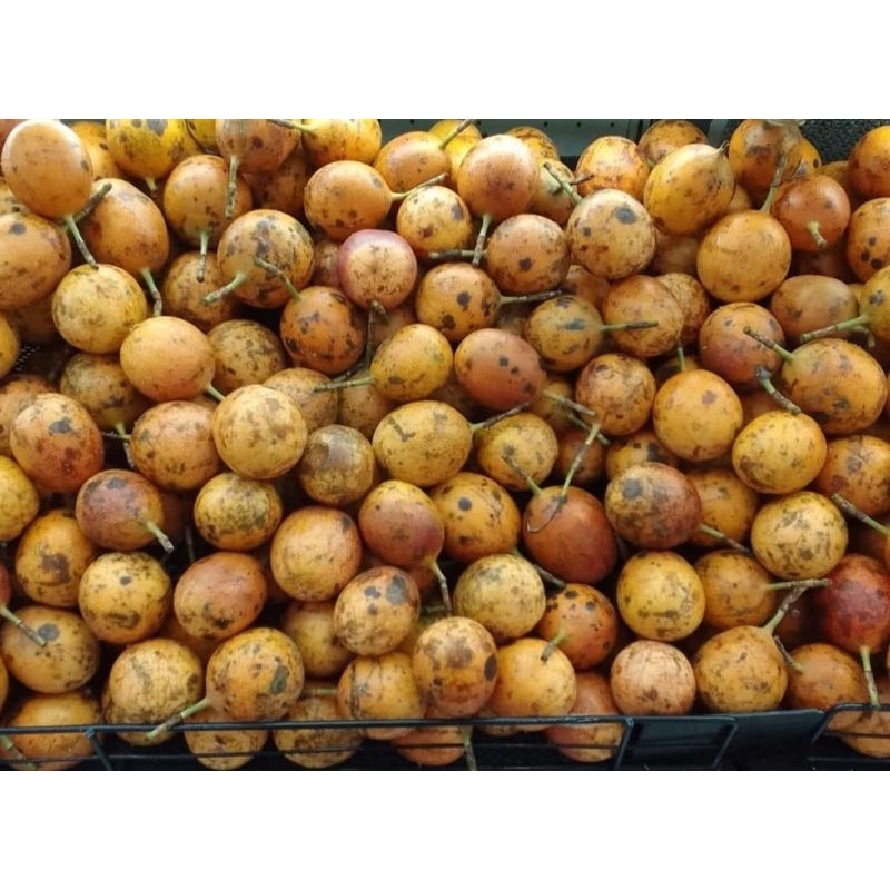 Jual buah markisa manis 1 kg / buah markisa 1 kg | Shopee Indonesia