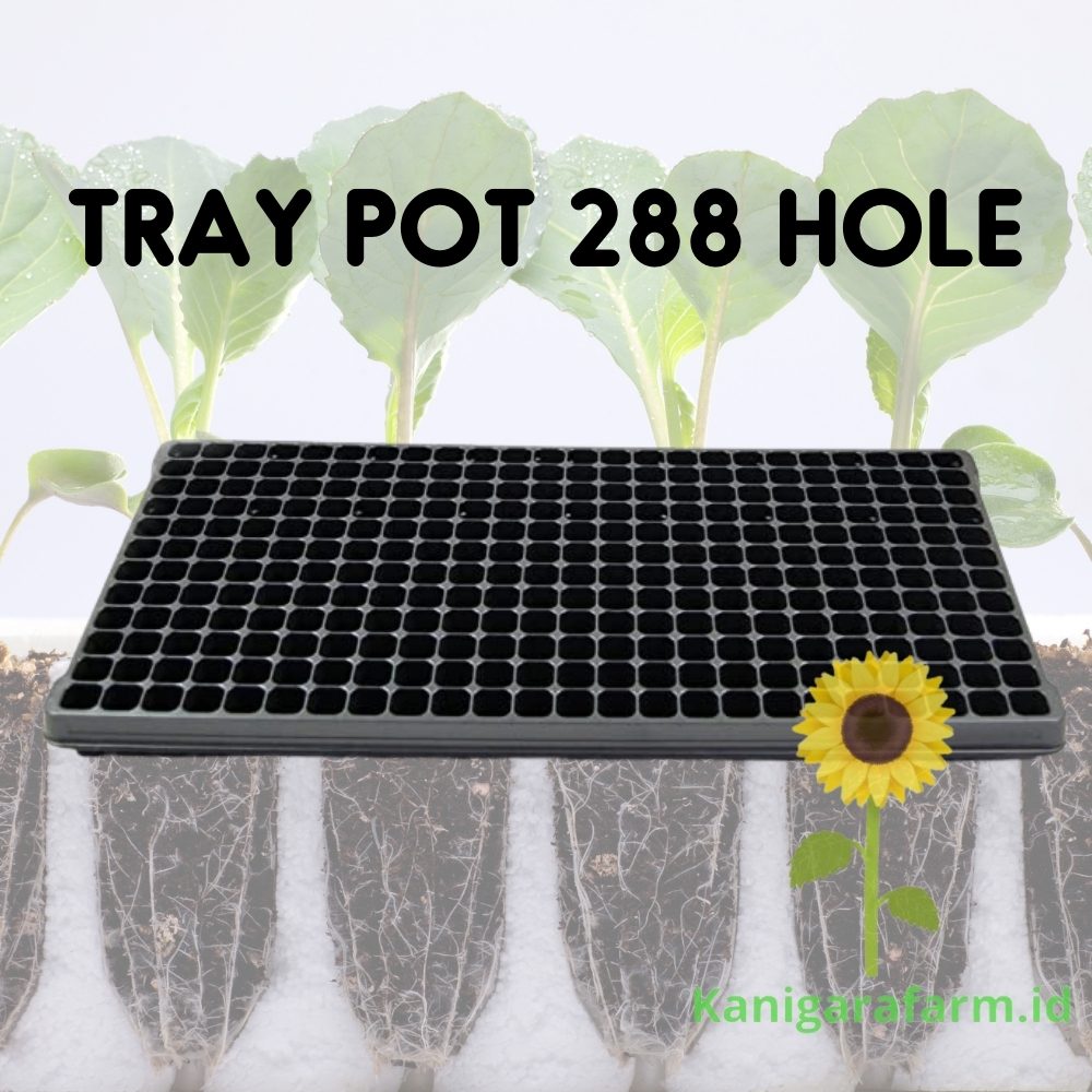 Jual Trai Semai Super Premium Lubang 288 / Tray Pot Super Premium 288 ...
