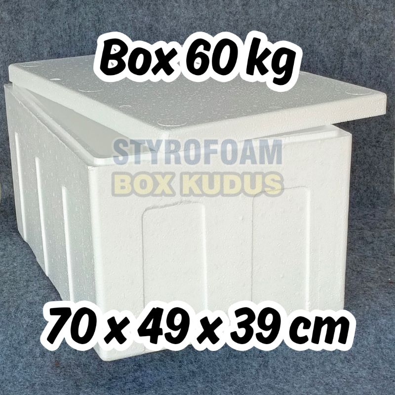 Jual INSTANT ONLY - BOX 60 KG - Styrofoam Box Baru Penyimpanan Packing ...
