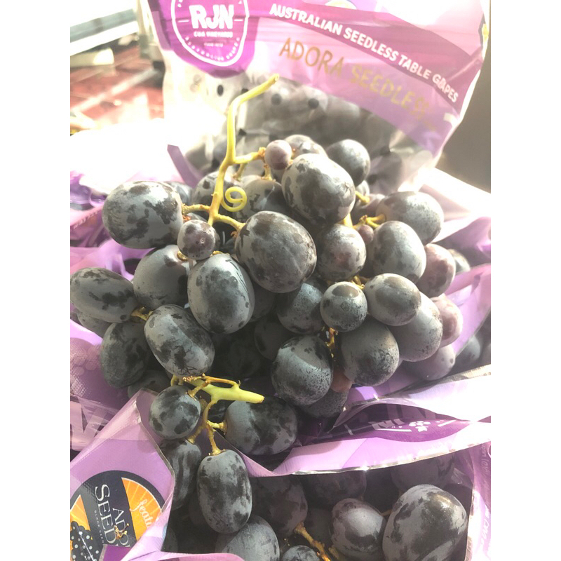 Jual Anggur Hitam Adora Aust RJN /kg | Shopee Indonesia