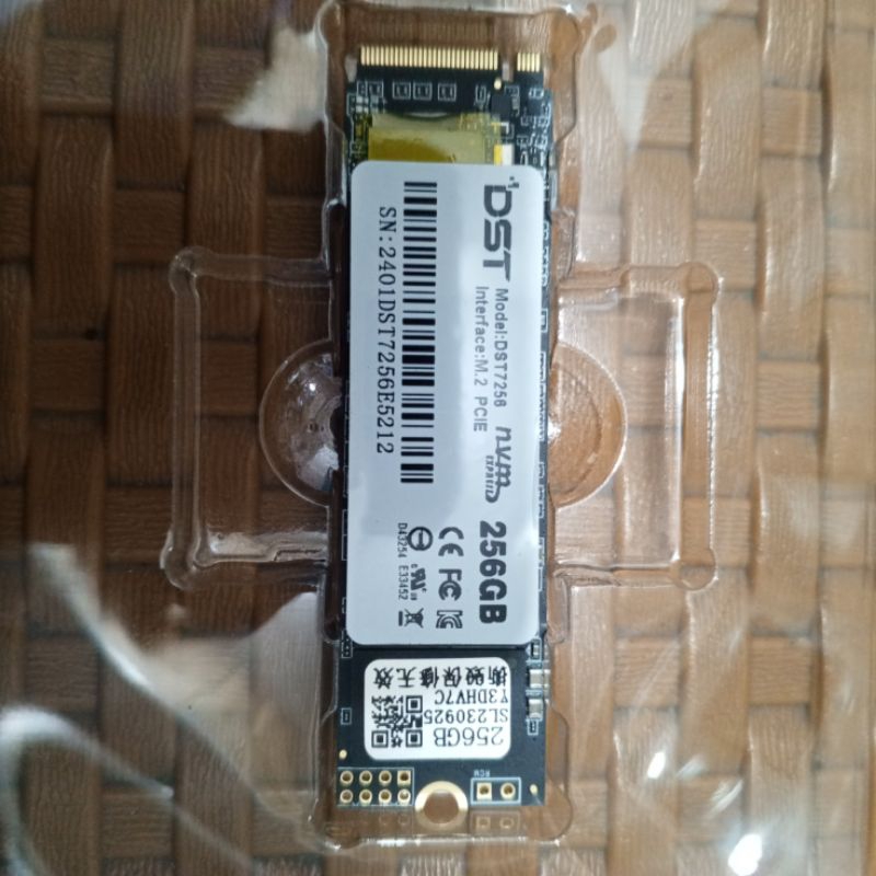 Jual Ssd Nvme new dst 256gb | Shopee Indonesia