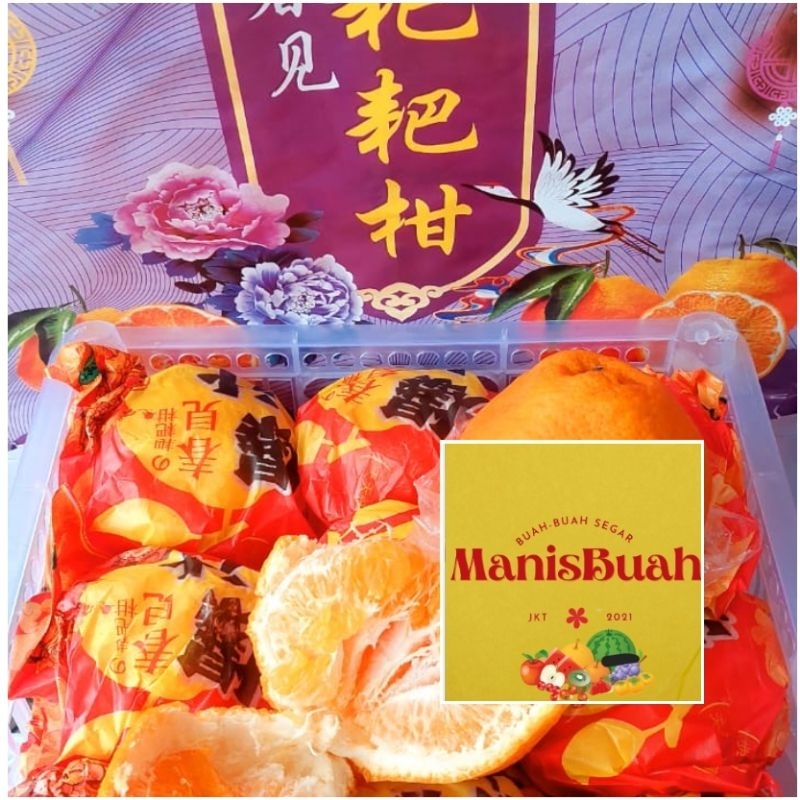 Jual jeruk dekopon/sumo | Shopee Indonesia