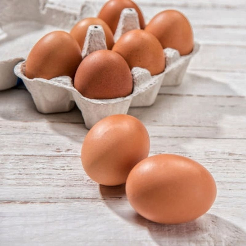 Jual Replika Telur ayam / dummy telur / Mainan anak / Edukasi anak ...