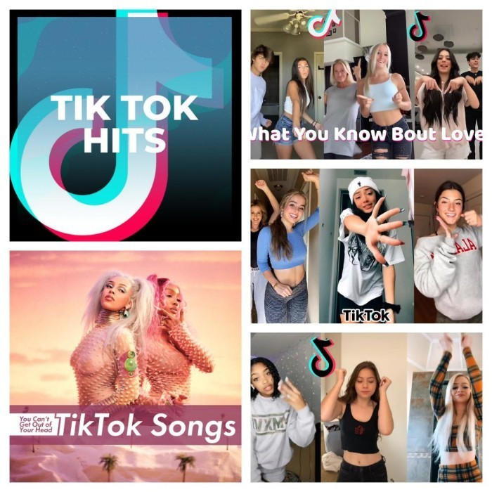 Jual Tik Tok Hits Viral TikTok Songs 2022-2023 Format FLAC | Shopee ...