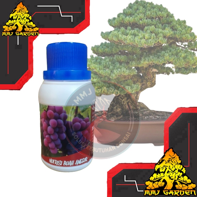 Jual MMJ GARDEN-Pupuk Buah Anggur Premium Organik GrowBoost Buah Anggur ...
