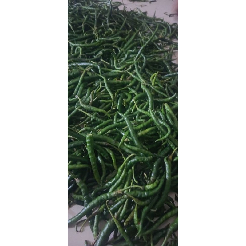 Jual cabe keriting ijo 250gr | Shopee Indonesia