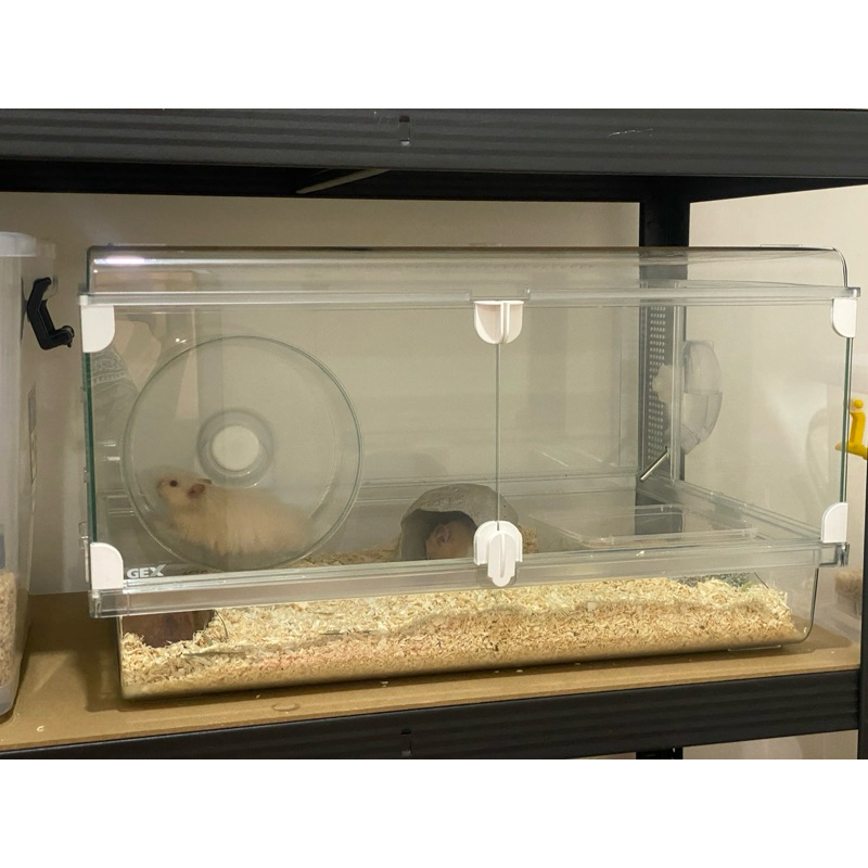 Jual KOPANCIMEL GEX HARMONY 600 KANDANG HAMSTER KACA AKRILIK | Shopee Indonesia