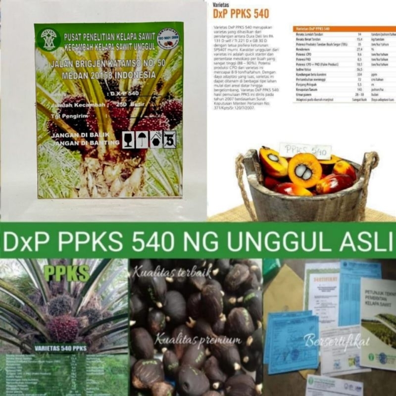 Jual PPKS DxP 540 SUPER UNGGUL HIGH KUALITAS DAPAT SERTIFIKAT | Shopee ...