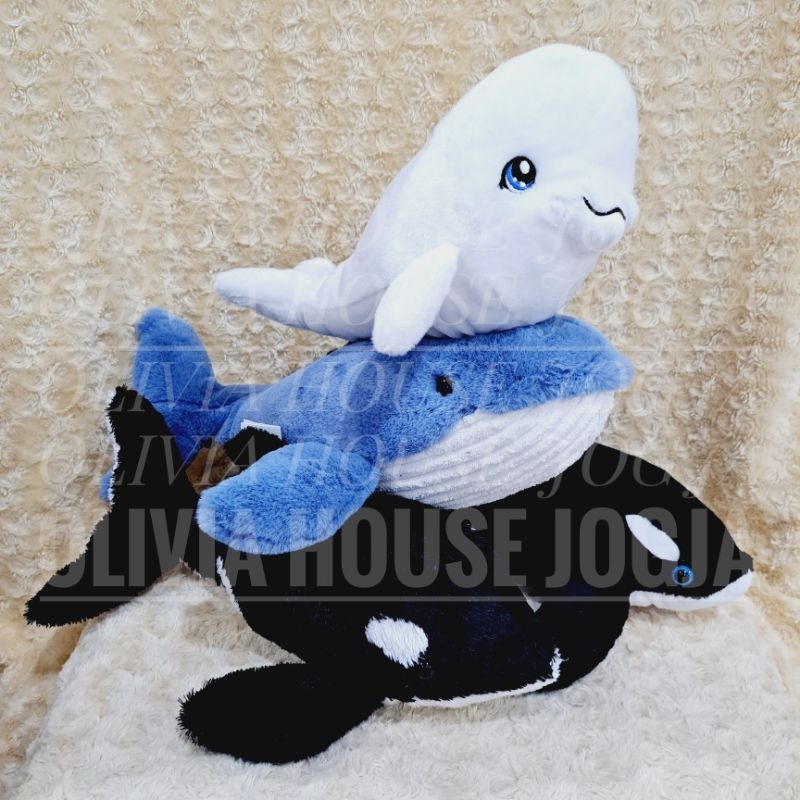 Jual Boneka Paus Biru Paus Beluga Paus Orca Boneka Paus Putih Paus ...