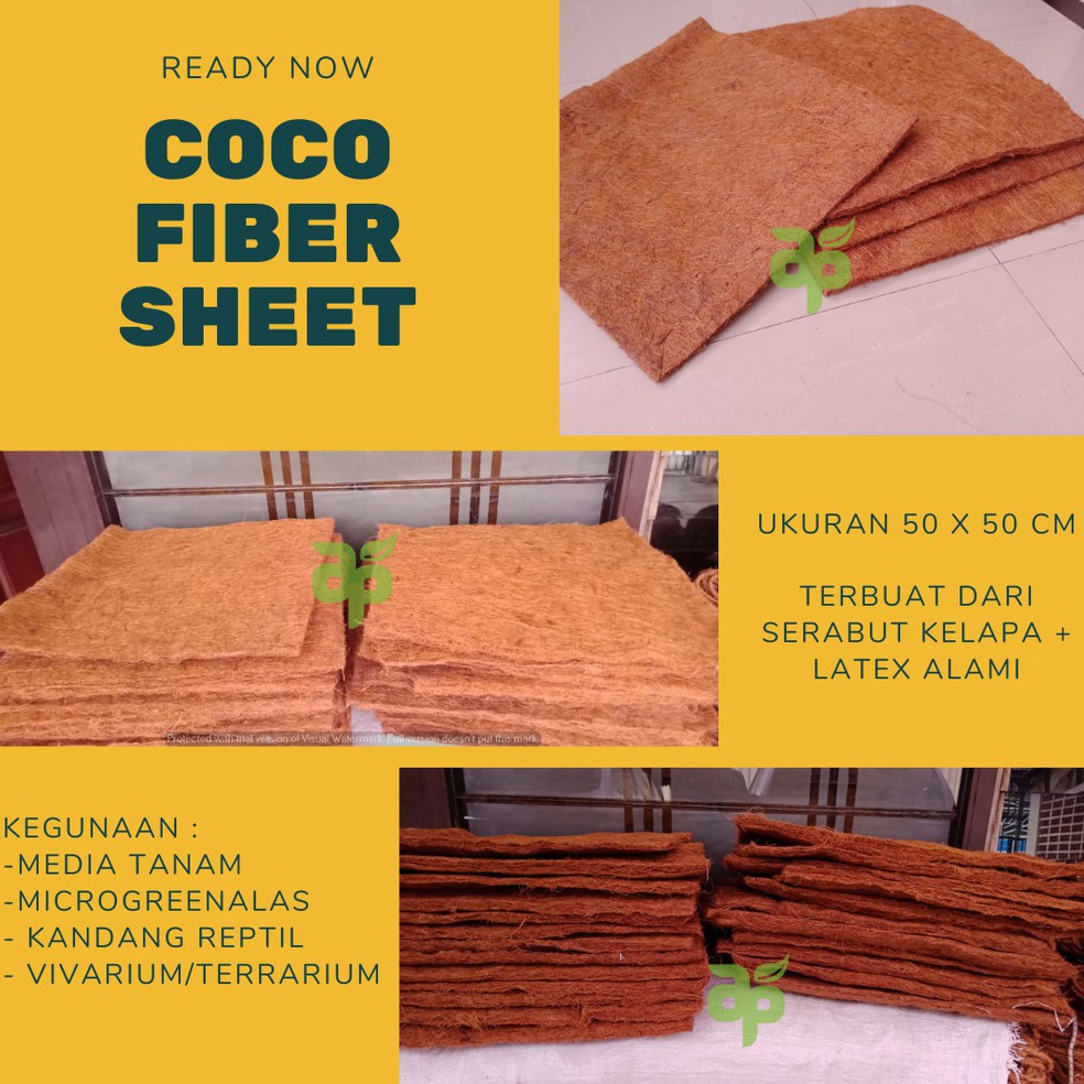 Jual Temukan Koleksi Impian Anda Coco Sheet Lembaran Sabut Kelapa ...