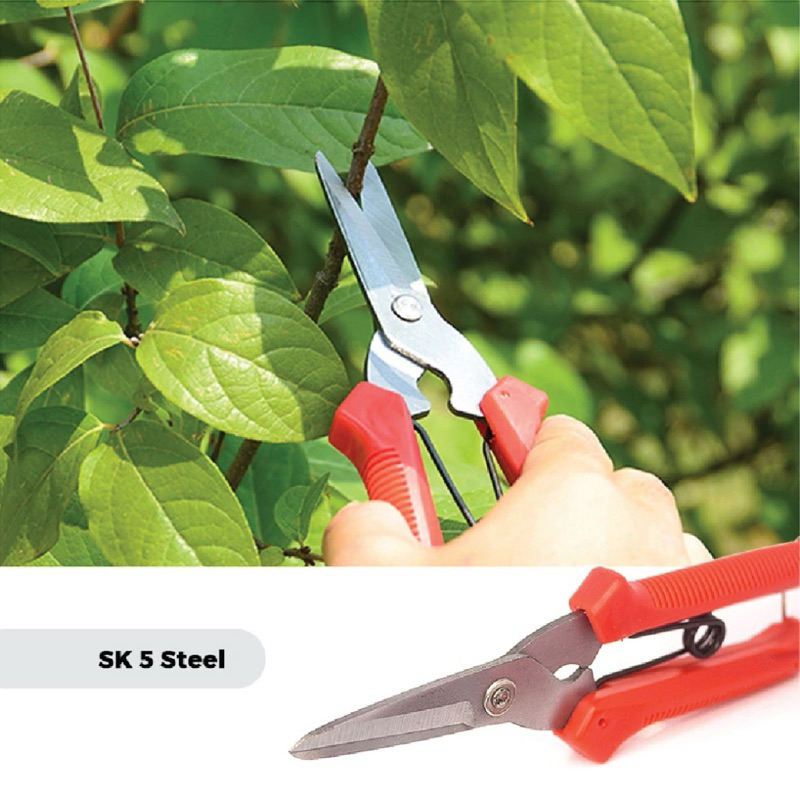 Jual Gunting Seng Dahan Ranting Buah Gunting Tajam KDK / Gunting Holo ...