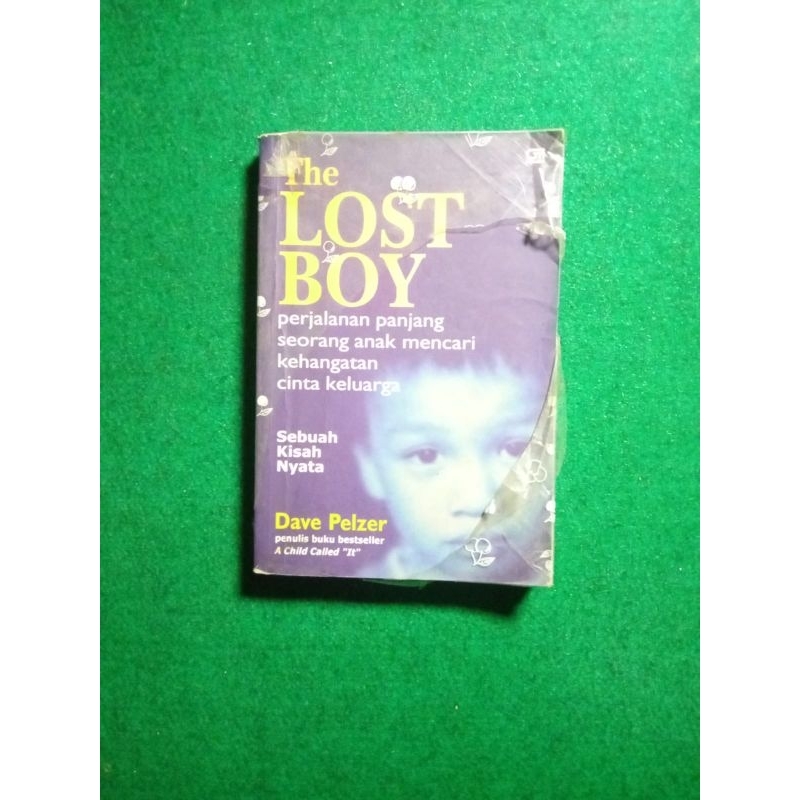 Jual Novel The Lost Boy - Dave Pelzer | Shopee Indonesia