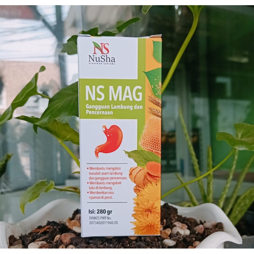 Jual Madu NS MAG ( NUSHA ) Obat Asam Lambung, GERD, Mag atau Maag ...