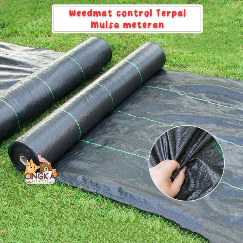 Jual Weedmat Control Terpal Mulsa Anti Rumput Hitam EG Lebar 2m - Meteran | Shopee Indonesia