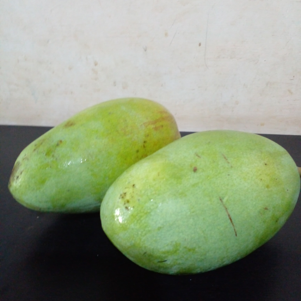 Jual Mangga Muda 1 kg | Shopee Indonesia