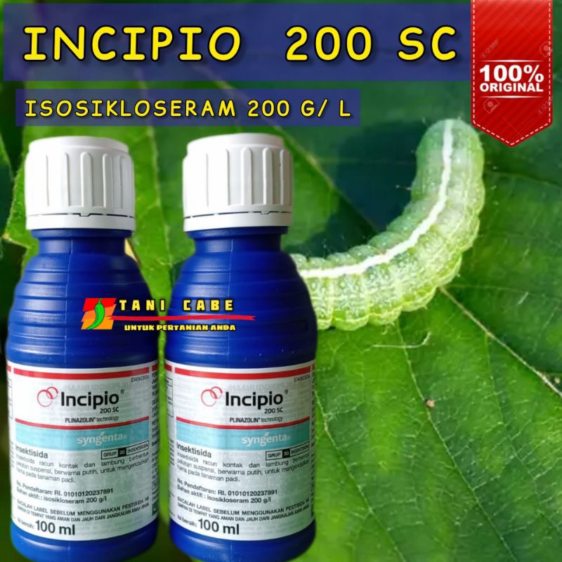Jual INSEKTISIDA INCIPIO 100 ML | Shopee Indonesia