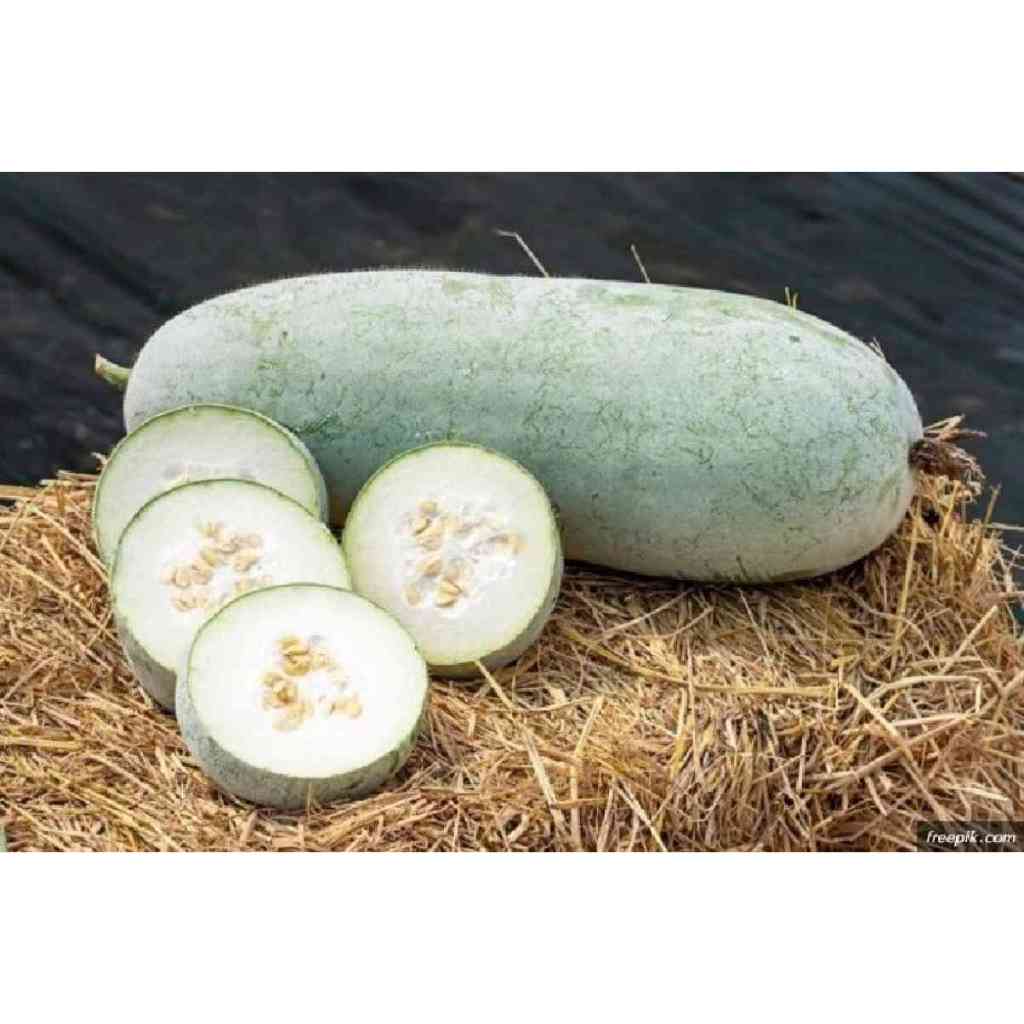 Jual kundur\bligo fresh | Shopee Indonesia