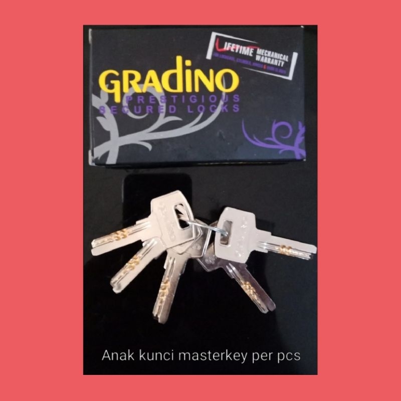 Jual anak kunci masterkey solid dan gradino | Shopee Indonesia