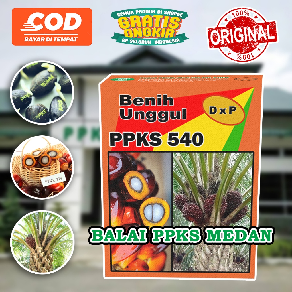 Jual PPKS DxP 540 Super Unggul Dapat Sertifikat Dan Bonus | Shopee ...