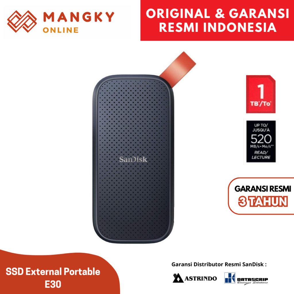 Jual Sandisk SSD External Portable E30 1TB USB C 3.2 eksternal 1 TB | Shopee Indonesia