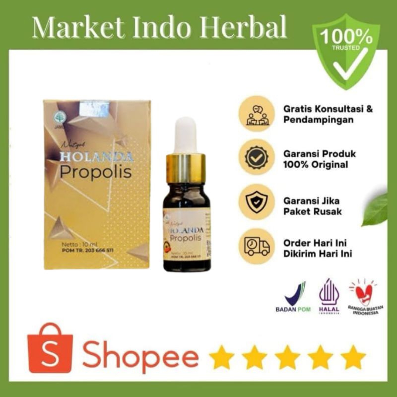Jual Holanda Propolis Obat Kolestrol Hipertensi Diabetes Asli Herbal ...