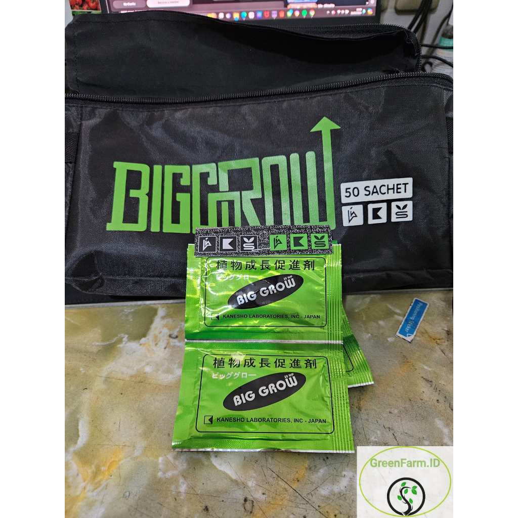 Jual ZPT Big Grow Forte GA3 20WP untuk 200 liter air | Shopee Indonesia