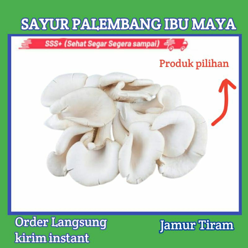 Jual Jamur Tiram - Sayur Sayuran Segar Fresh Palembang | Shopee Indonesia
