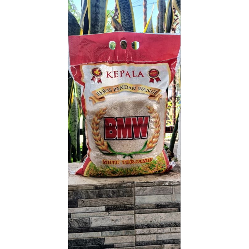 Jual Beras Setra Wangi 10 Kg | Shopee Indonesia