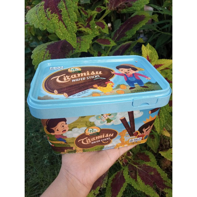 Jual [Per Kaleng] Astor Tiramisu Wafer Sticks Denex/ Astor Murah Meriah ...