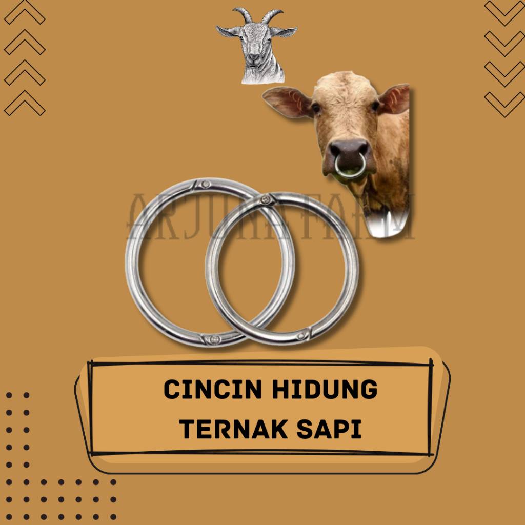 Jual Cincin Hidung Sapi Kerbau Lembu Sapi Cincin Bull Ring Diameter ...