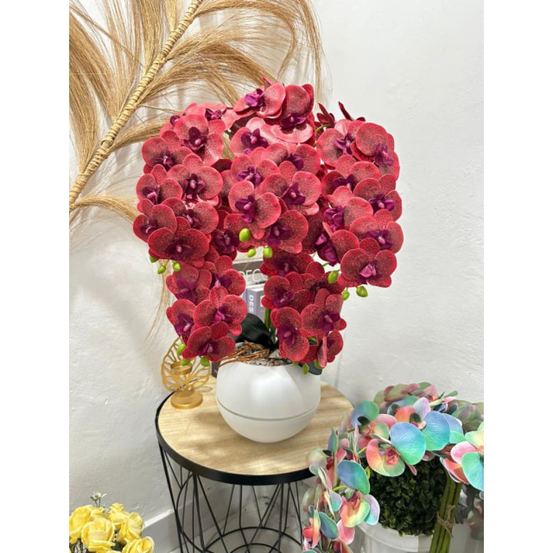 Jual Bunga anggrek cabang 5 super rimbun dengan vas bola | Shopee Indonesia