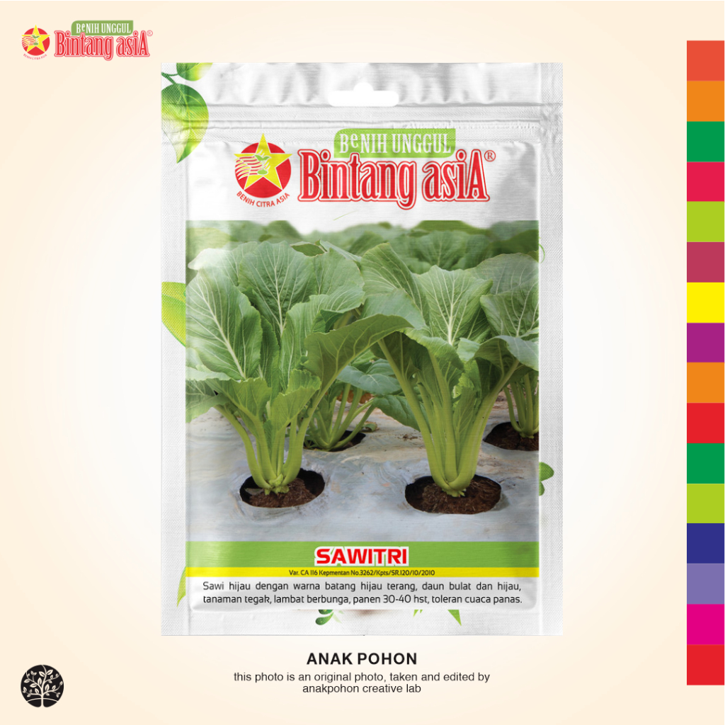 Jual (1 PACK) Benih Sawi SAWITRI Sawi Hijau Manis Caisim Seeds ...
