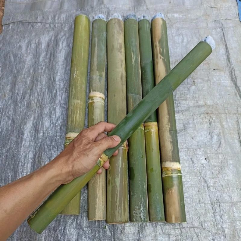 Jual Bambu obor / obor bambu / coleng / bambu penerang obor | Shopee ...