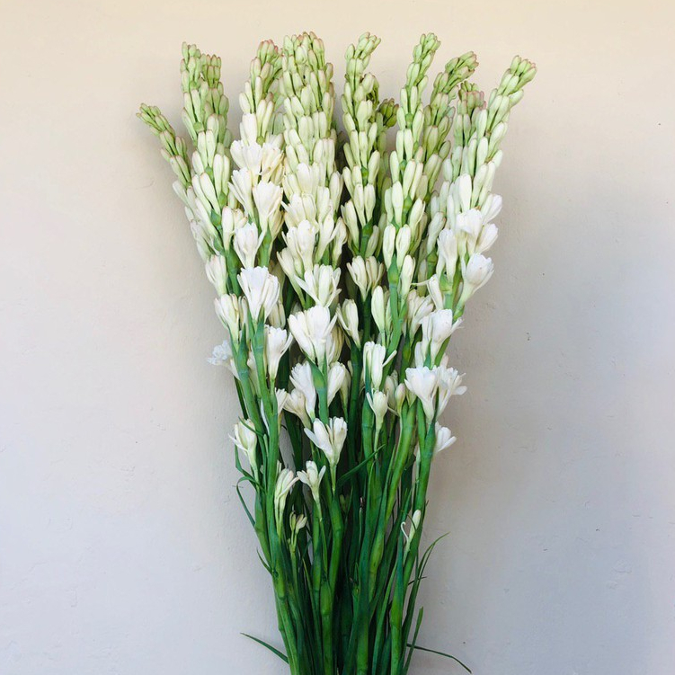 Jual EZIFLORIST - Bunga Sedap Malam Segar Spesial Idul Adha/Idul Fitri ...