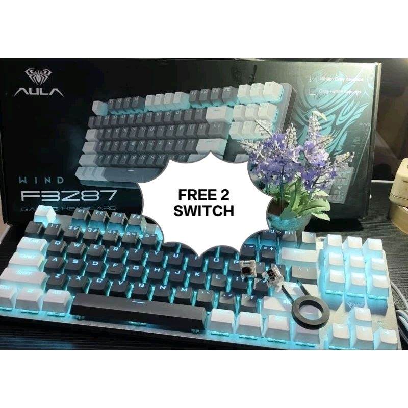 Jual KEYBOARD MECHANICAL AULA GAMING F3287 TKL USB SECOND | Shopee ...
