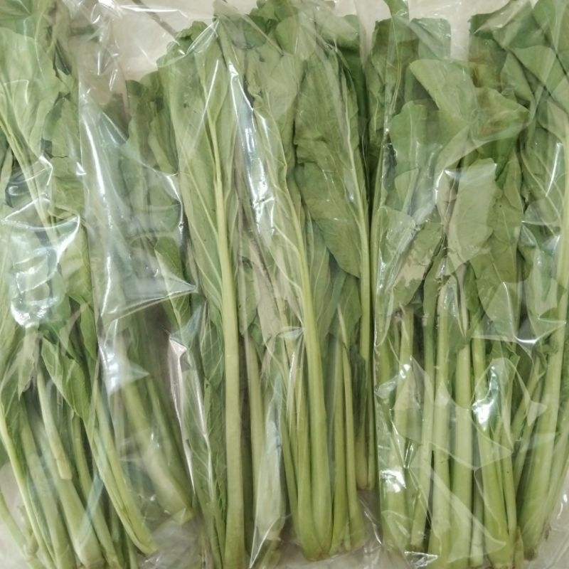 Jual Caisim /sawi manis /sawi bakso 250gr | Shopee Indonesia