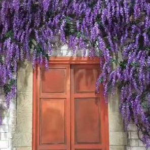 Jual (12 PCS) Bunga Rambat Wisteria Jumbo Artificial Hanging Flower ...