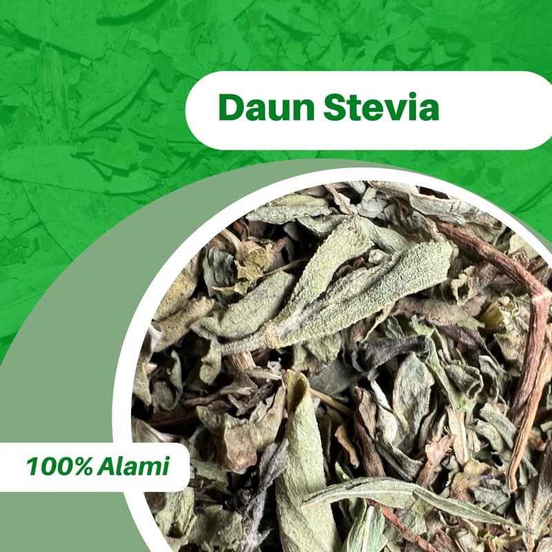 Jual 250GR DAUN STEVIA LEAVES 100% ASLI | Shopee Indonesia