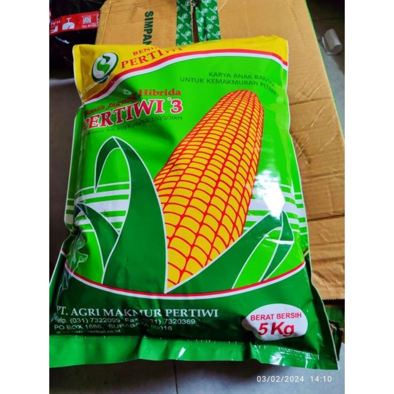 Jual benih jagung hibrida pertiwi 3 isi kemasan 5kg original | Shopee ...