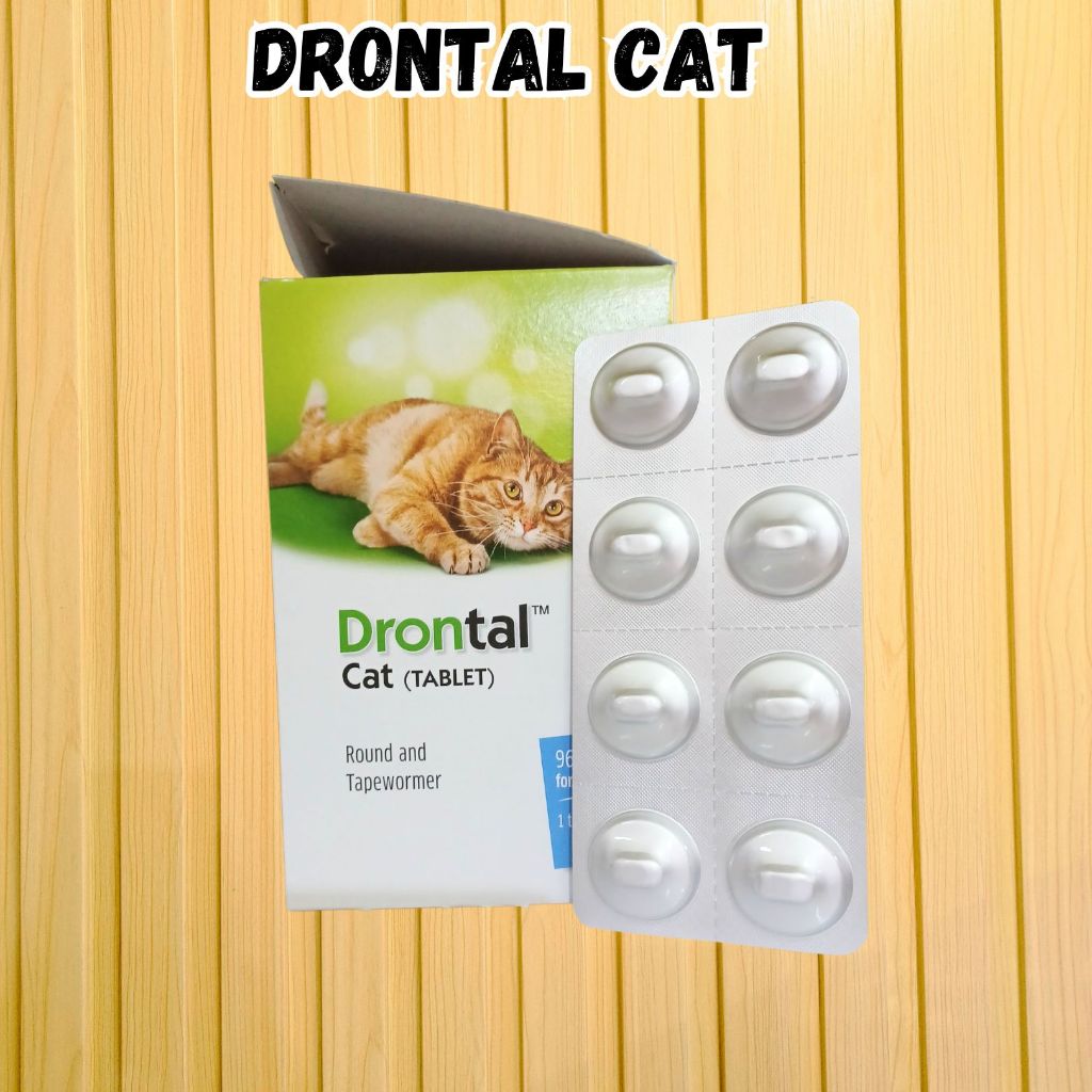 Jual DRONTAL CAT Obat Cacing Kucing Drontal PER TABLET | Shopee Indonesia