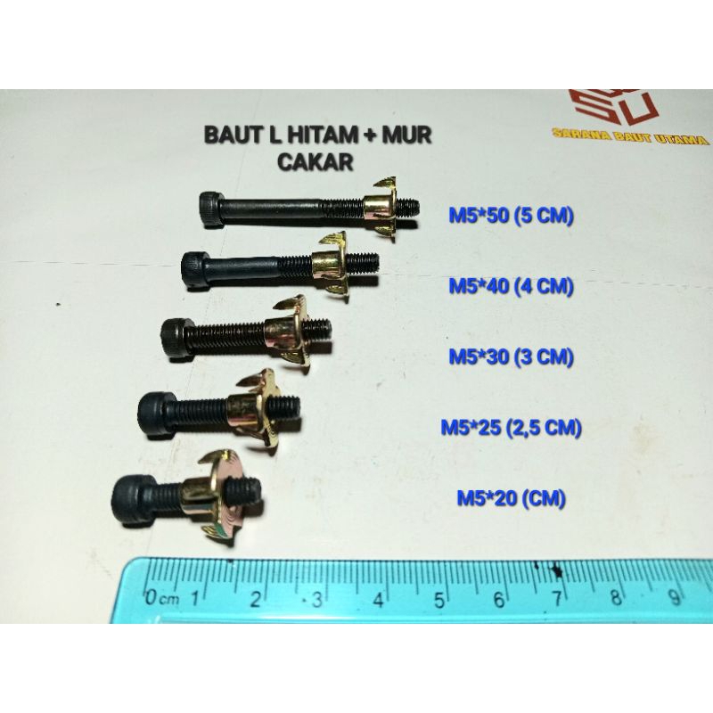 Jual Baut L baja M5*20 - 25 - 30 - 40 - 50 + Mur Cakar / Baut Speaker / Kunci L4 Hitam | Shopee ...